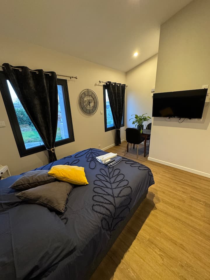 Studio Neuf Proche Arkea Arena Et Gare St Jean - Floirac