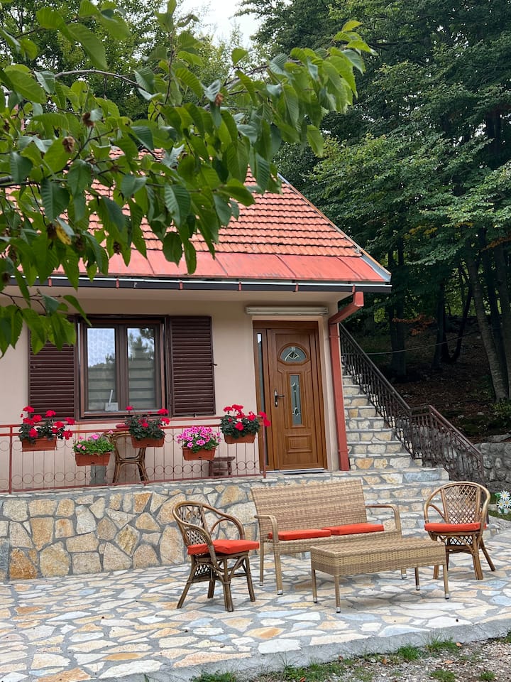 Vikendica Silenzio - Montenegro