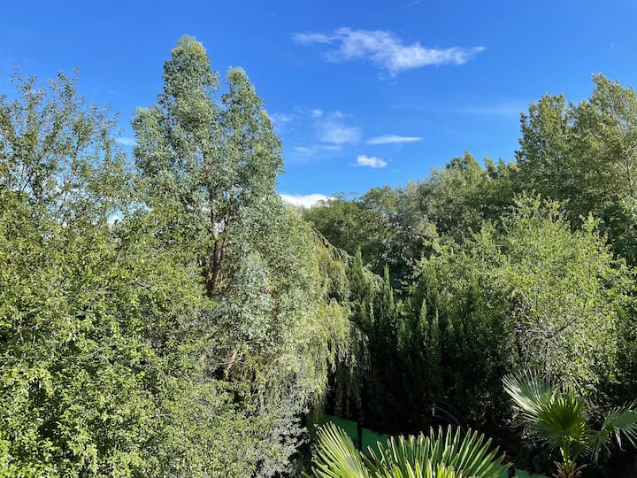 Parc Du Peuple 3 - Poissy