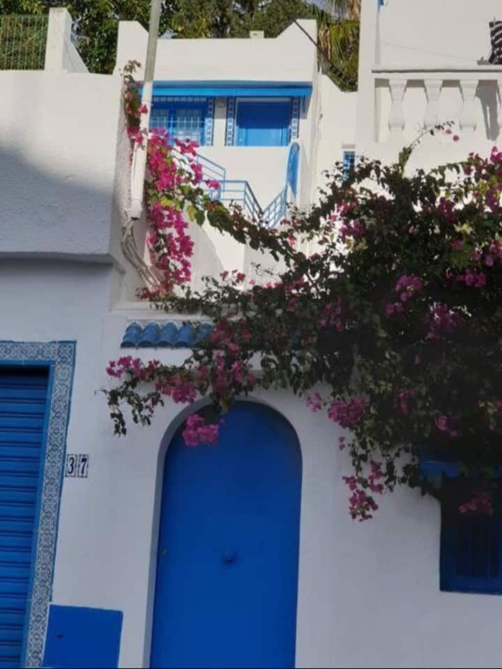 Studio Hafsya Hammamet - Hammamet