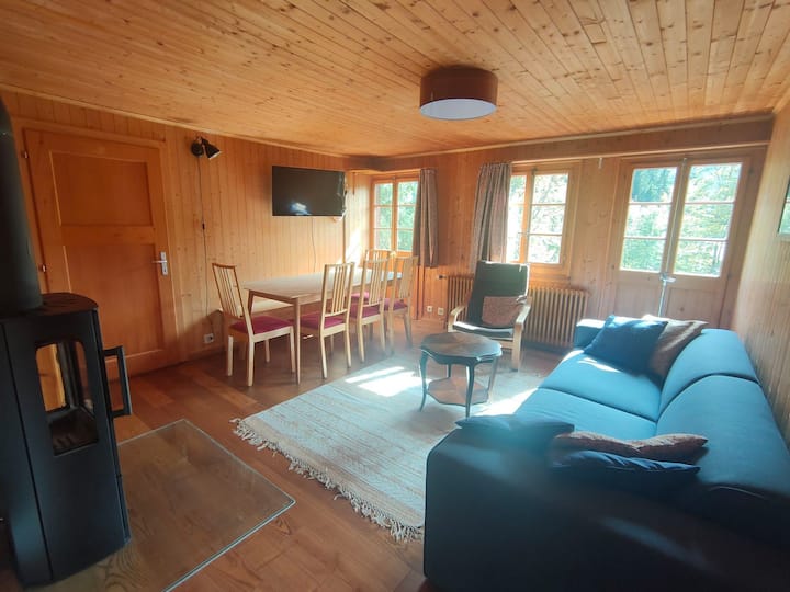 Appartement Dans Un Chalet - Les Diablerets