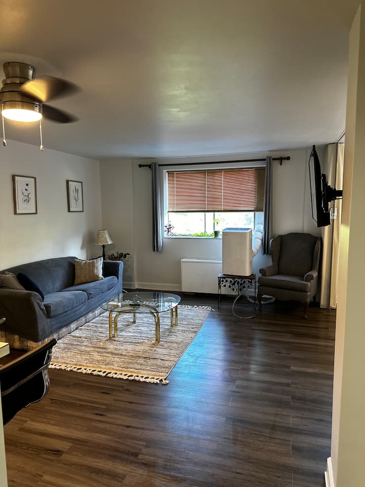 Condo In The Hotel District Of Midtown - Atlanta, GA