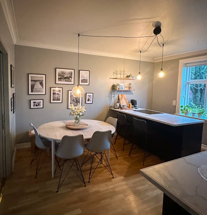 Cozy Apt. Downtown Reykjavik - Reykjavík