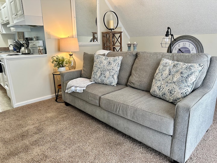 Cozy 1 Bedroom Apartment In Jville! - Jacksonville, NC