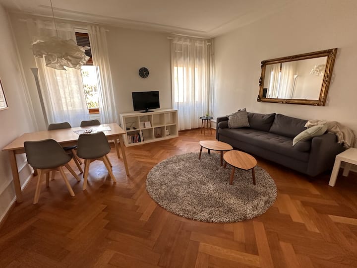 3.5 Rooms Flat In Basel Center + Baselcard - Basiléia