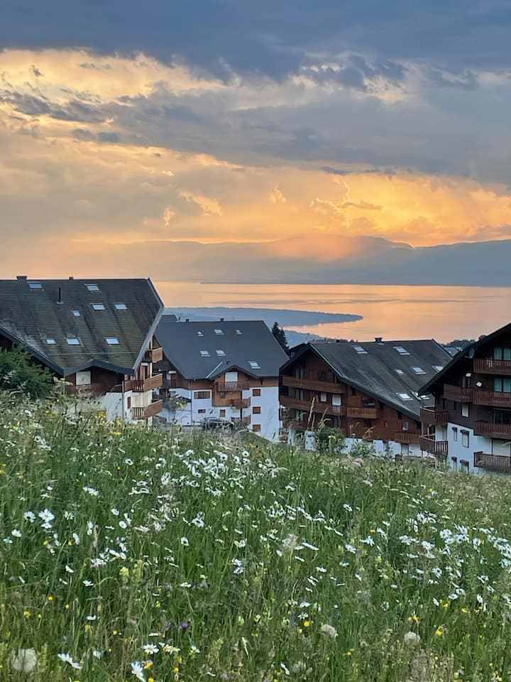 Logement Entier 3 Chambres - Lake Geneva