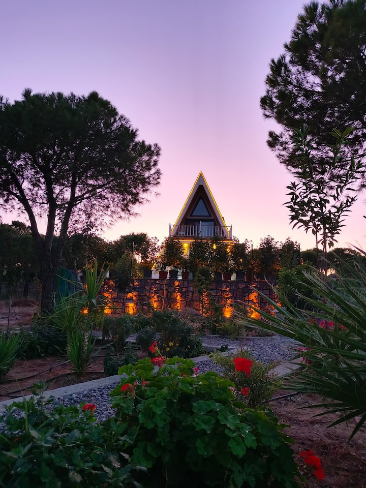 Lüks ıSıtmalı Havuzlu Villa - Buca