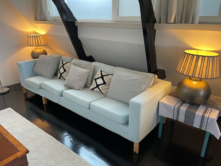 Loft Vondelpark Centralamsterdam - Amsterdam