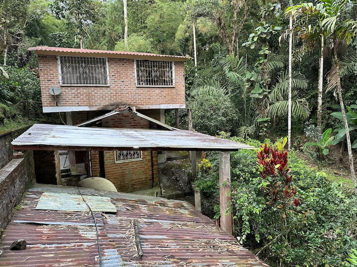 La Finca De Papá Lino - Yunguilla