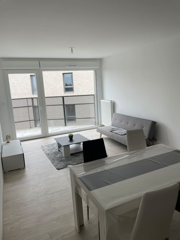 Superbe T3 Neuf à Lille (Proximité Lillenium) - Lille