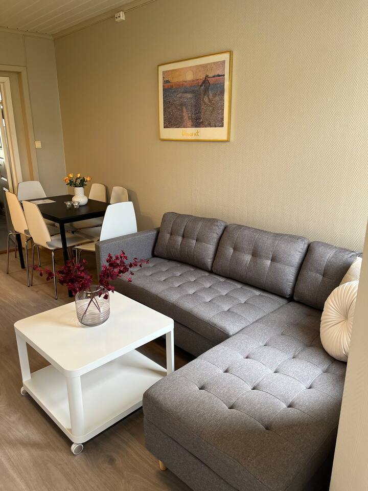 Central Apartment In Trondheim - Trondheim