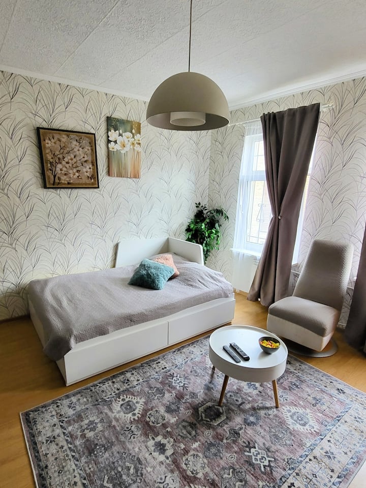 Retro Vibes Studio In Wooden House - Tallinn