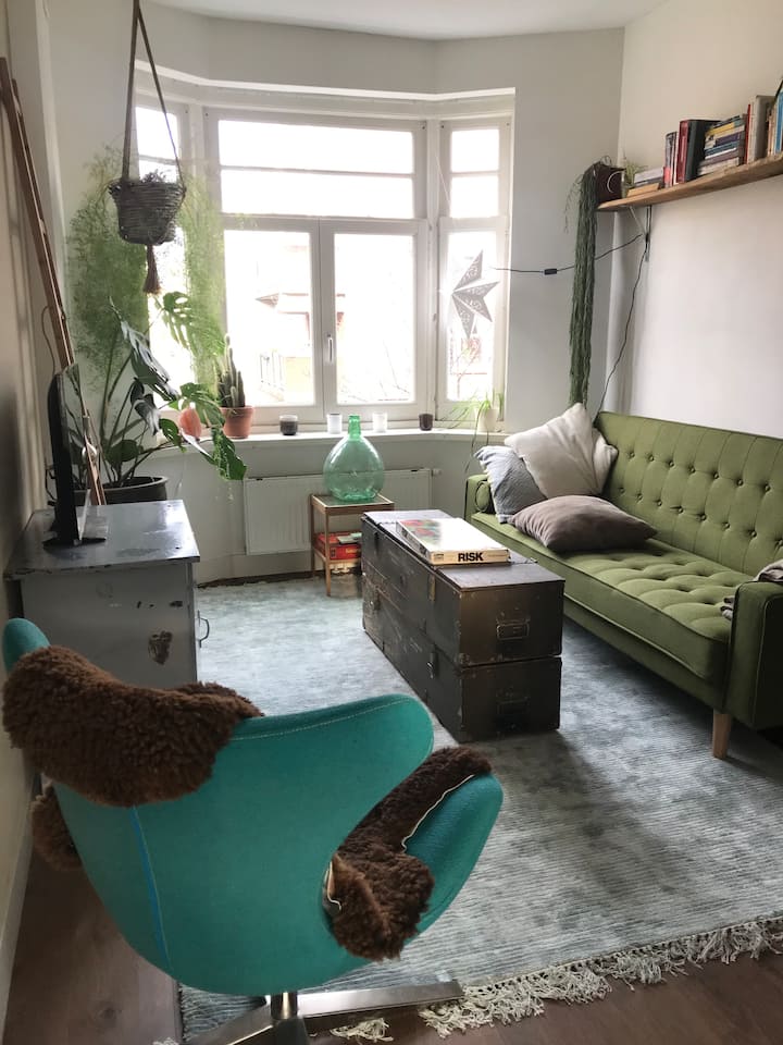 Licht En Gezellig Appartement In De Indische Buurt - Amsterdam