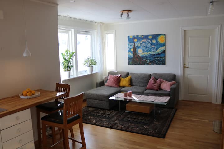 Sentrumsnær Leilighet - Tromsø