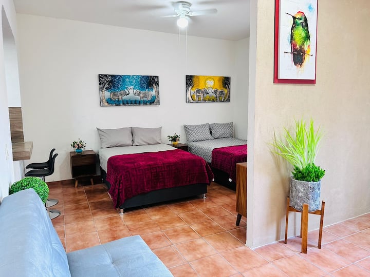 Casa De Chapultepec / Santa Teresita - Guadalajara