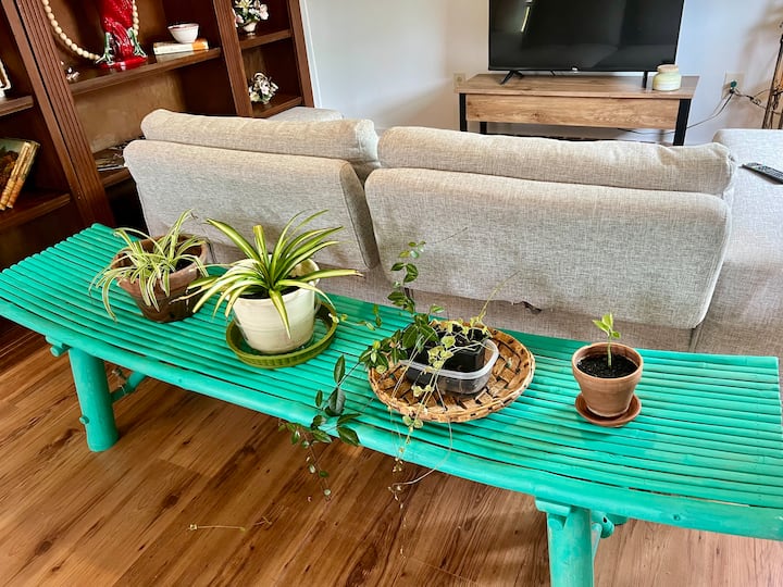 Vintage Chic Mountain Cottage #8 - Monteagle, TN