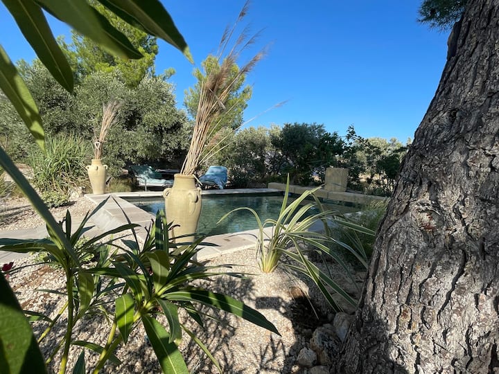 Mazet Provençal Au Cœur Des Alpilles Avec Bassin - Salon-de-Provence