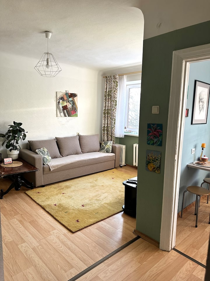 Cozy Apartment In Quiet Area - Riga