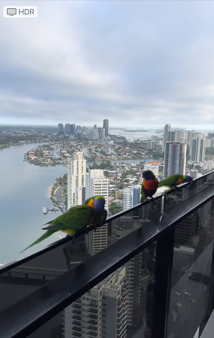 Wfh Facilities | Great View |Spa | Free Car Park - Surfers Paradise