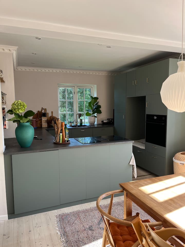 Rummelig Lejlighed Med Egen Have - Odense