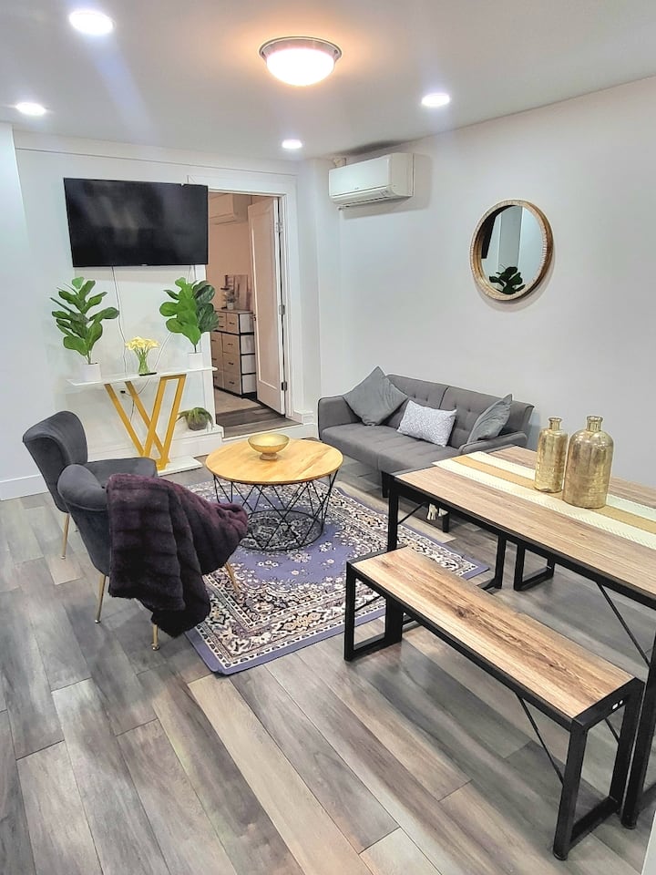 1 Br Lux Apt In Queens,20 Mins To Jfk, Near Subway - Brooklyn, NY