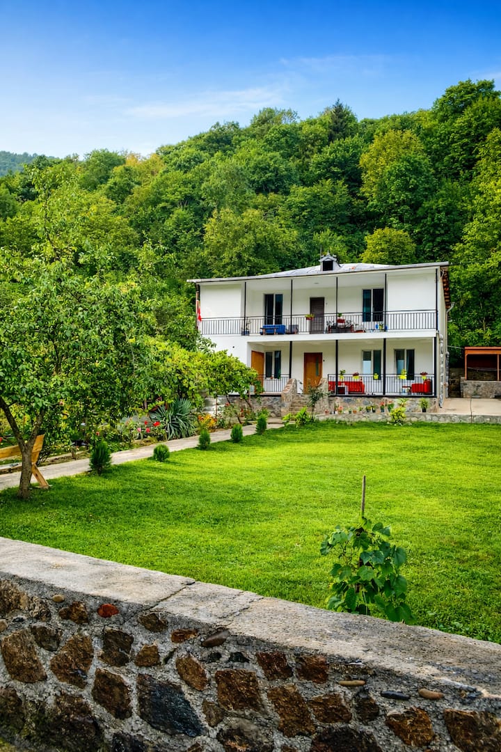 მშვიდი მყუდრო და ულამაზესი ხედი - Georgia