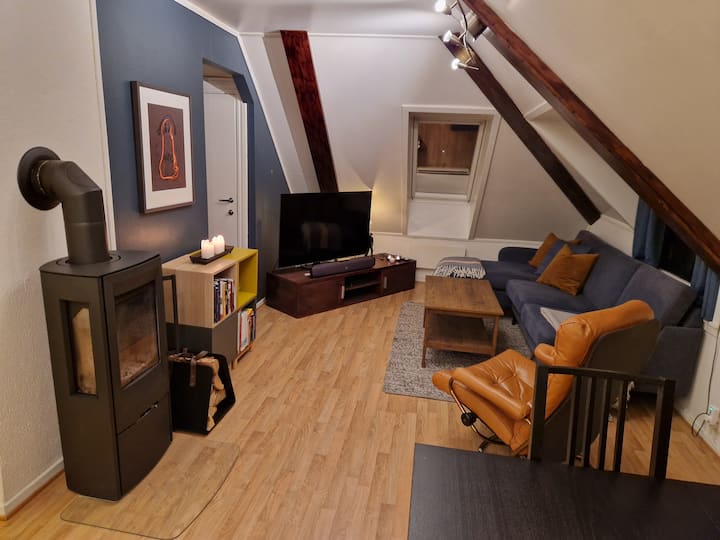 Koselig Og Sentrumsnær Leilighet - 트론헤임