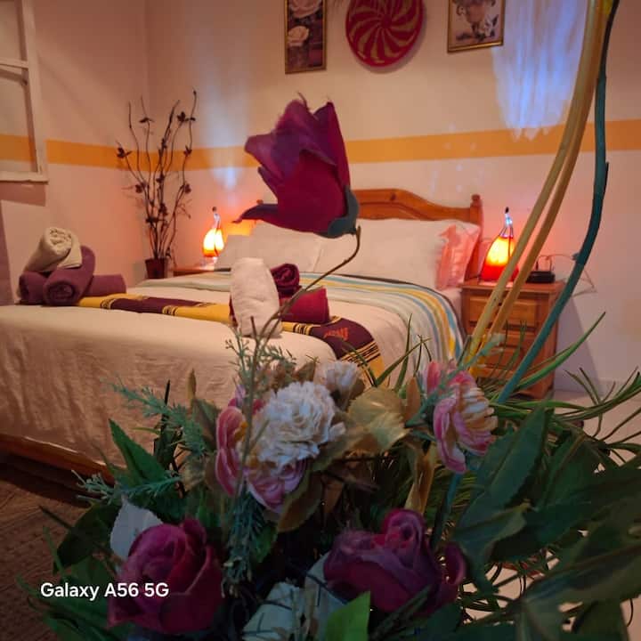 Med’s House - Essaouira