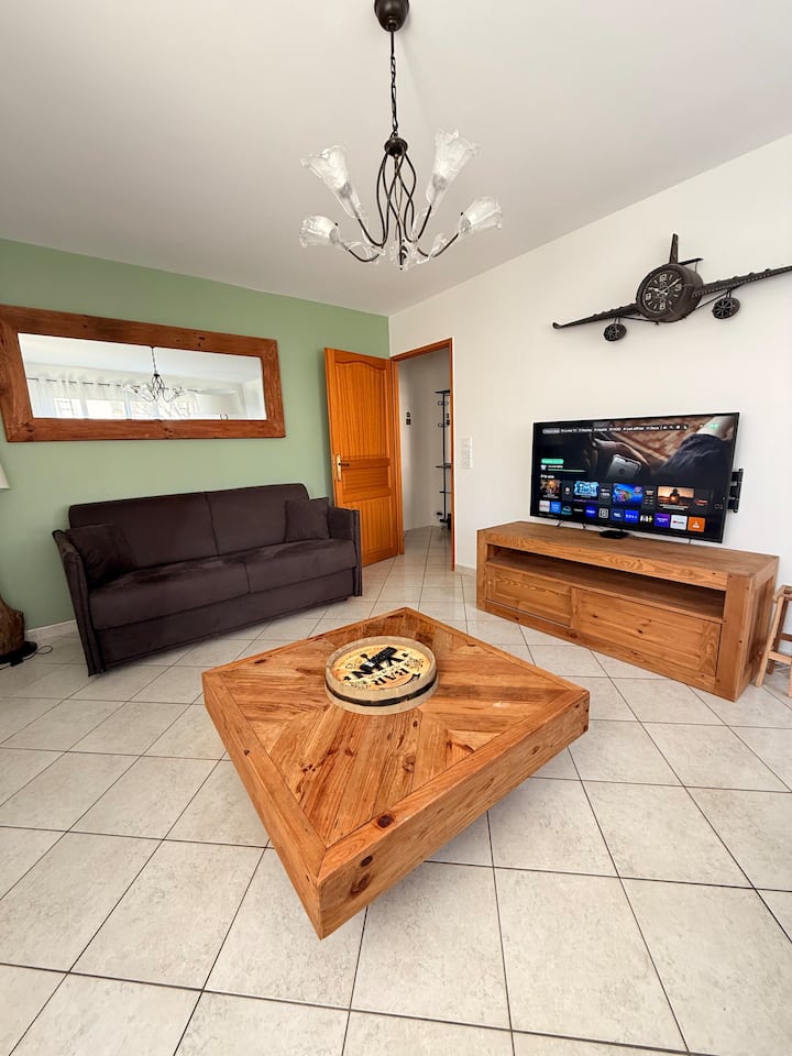 Appart T2 Rez De Jardin Proche Stations De Skis - Cluses