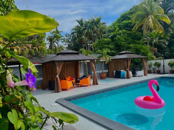 Tropical Suite - South Miami, FL