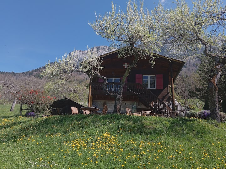 Chalet Cosy Entre Lac Et Aravis - Veyrier-du-Lac