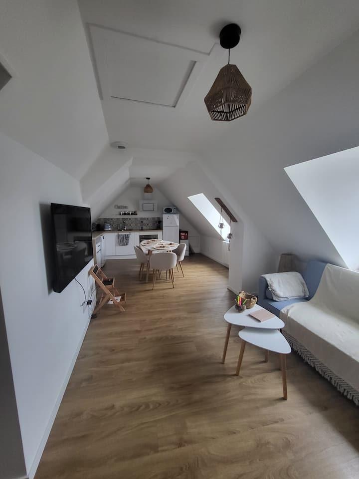 Cocon Lumineux – Idéal Couple Ou Télétravail Fibre - Pourville-sur-Mer