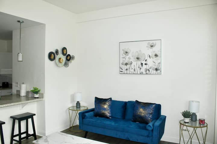 Elegant 1-bdrm Rental Downtown Indianapolis - Indianápolis, IN