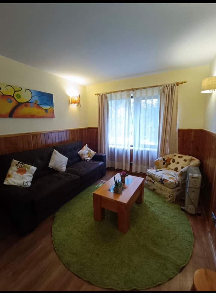 Departamento En Condominio Parque Suizo 800 - Pucon