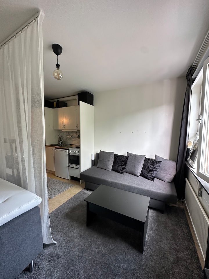 Funktionell 1:a I Centrum - Östersund