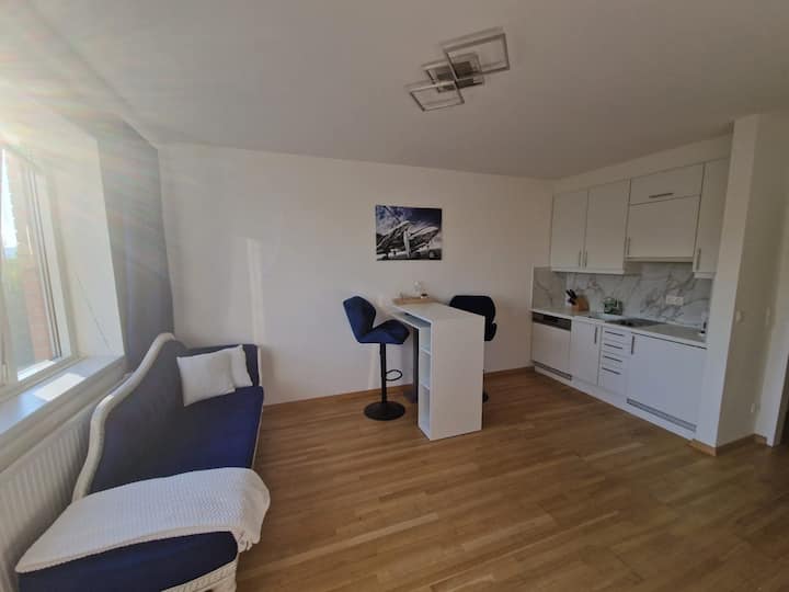 Stilvolles Appartement Am Wienerberg. - Wien