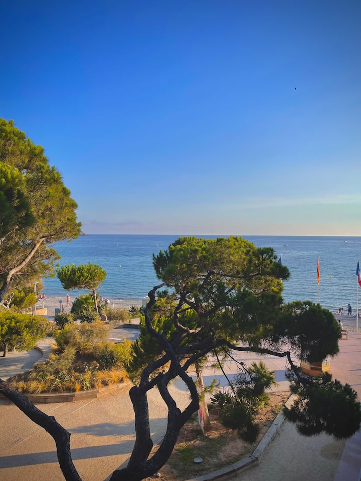 Superbe Appartement En Bord De Plage - Plage de Saint-Cyr-sur-Mer (La Madrague)