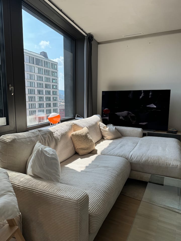 70m2, 1bed 1bath On Zurich Central Station - Zurich, Switzerland
