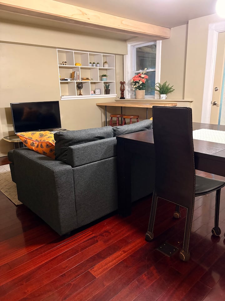 Garden Level Apartment | Center Sq-great Location! - Albany, NY