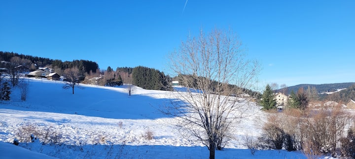 Appartement "Le Petit Sapin" - Gérardmer