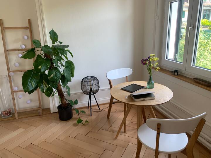 Ruhige Wohnung Im Grünen - Zúrich, Suiza