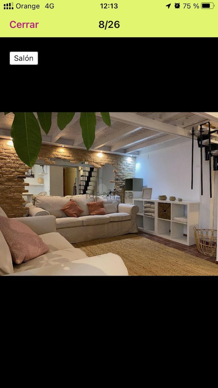 Coqueto Apartamento Con Mezzanin - Madrid