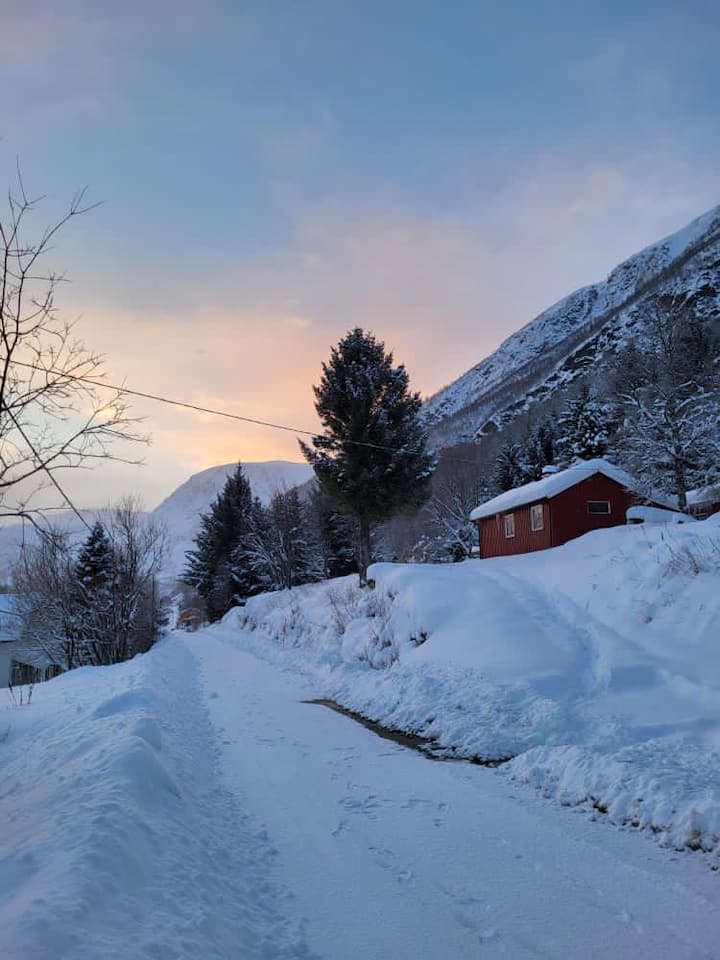 Authentic Cabin In Perfect Location - Norway