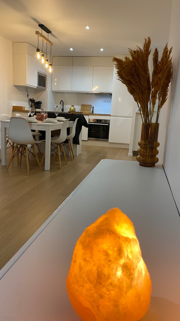 T3 Centre Ville - Bellegarde-sur-Valserine