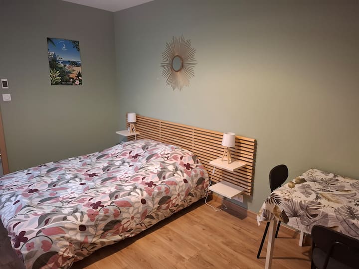 Chambre Et Salle D'eau Privées Dans Une Maison - Champigny-sur-Marne