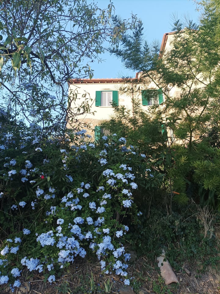 Casa Colombina: Appartamento + Vista Sul Mare - Manciano