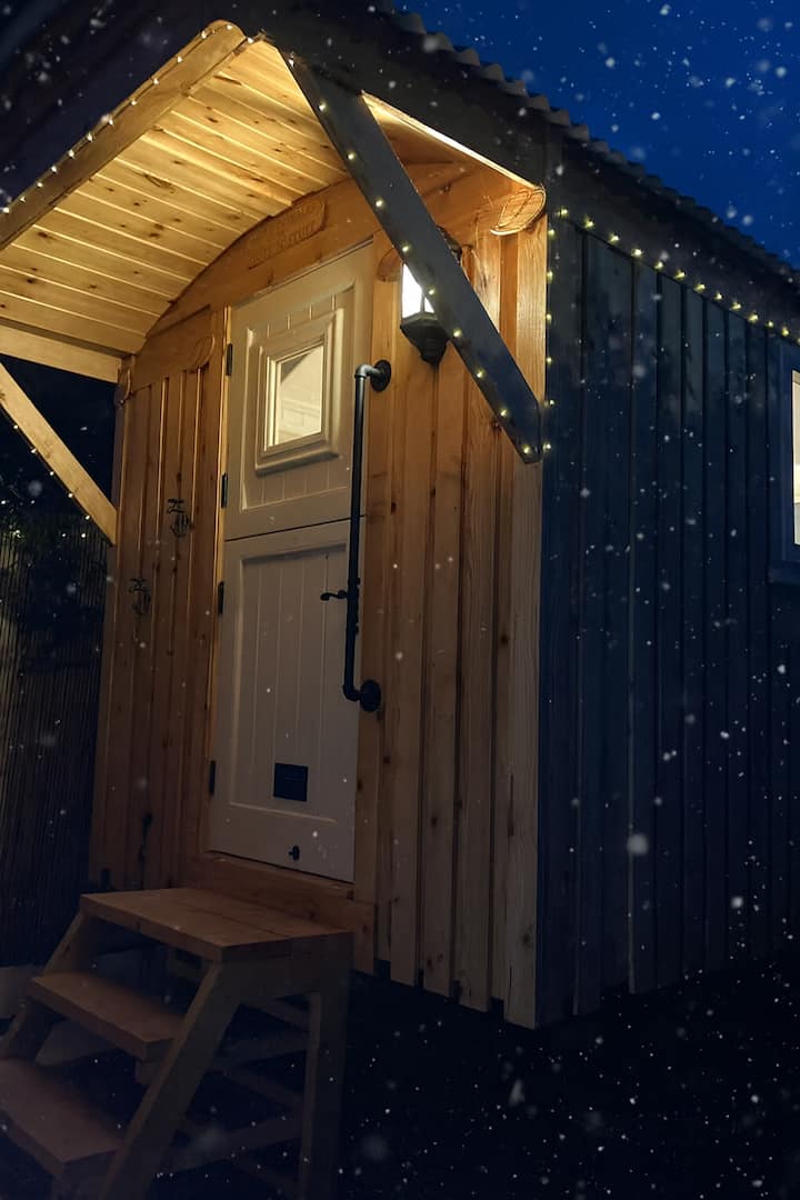 Lazydaze Shepherds Hut - Brixham