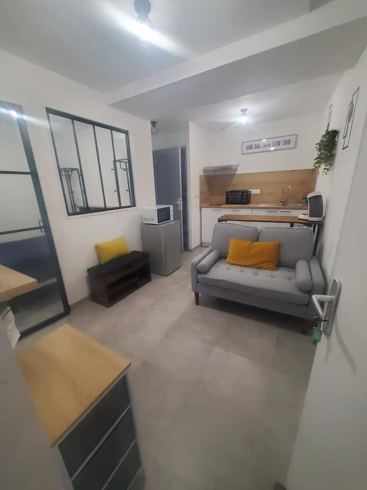 Studio Très Proche Centre Bourg Rdc à Gauche - Bourgueil