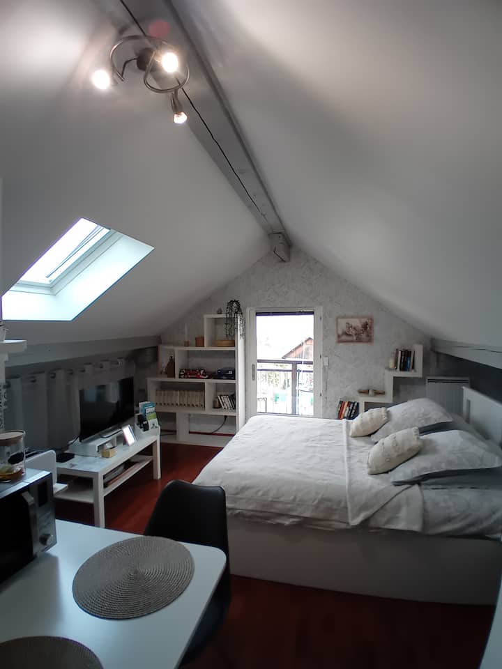 Apt. Cosy, Calme Avec Vue Sur Les Montagnes - La Roche-sur-Foron