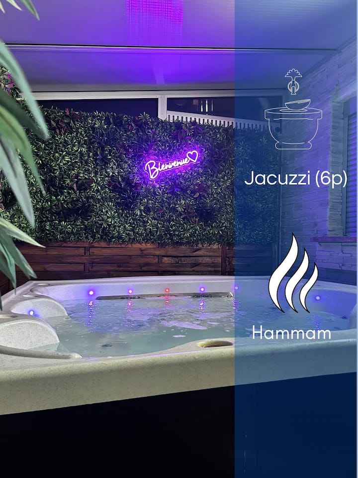 Hammam  + Jacuzzi Privé Logement Standing Au Rdc - Tours
